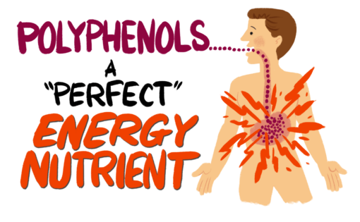 Polyphenols | Polyphenol Guide | Polyphenols Definition | Dr. Gundry