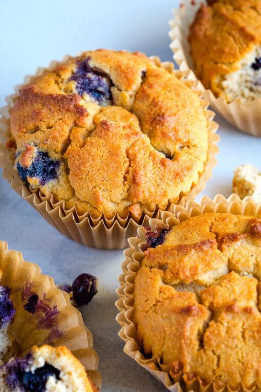 Dr. Gundry's Blueberry Miso Muffin Recipe - Gundry MD