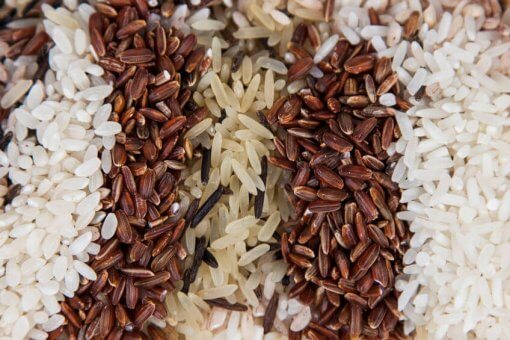 The Truth About Lectins In Rice: Does Rice Have Lectins? - Gundry MD