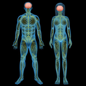 Power Phenols™ - Gundry MD®