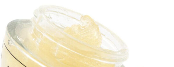 Learn All About Gundry MD Scientifically-Formulated Supplements