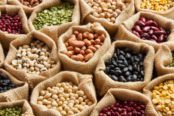The Truth About Lectins In Rice: Does Rice Have Lectins?