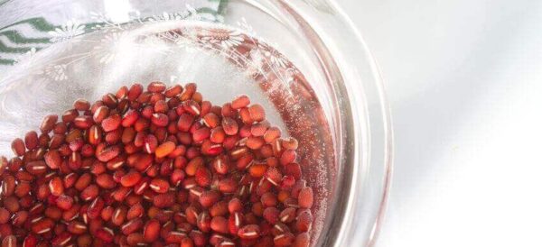 The Truth About Lectins In Rice: Does Rice Have Lectins?