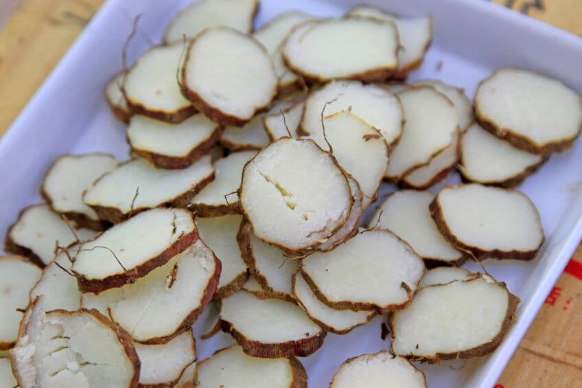 Wild Yam Extract: Amazing Anti-Aging Skincare Ingredient