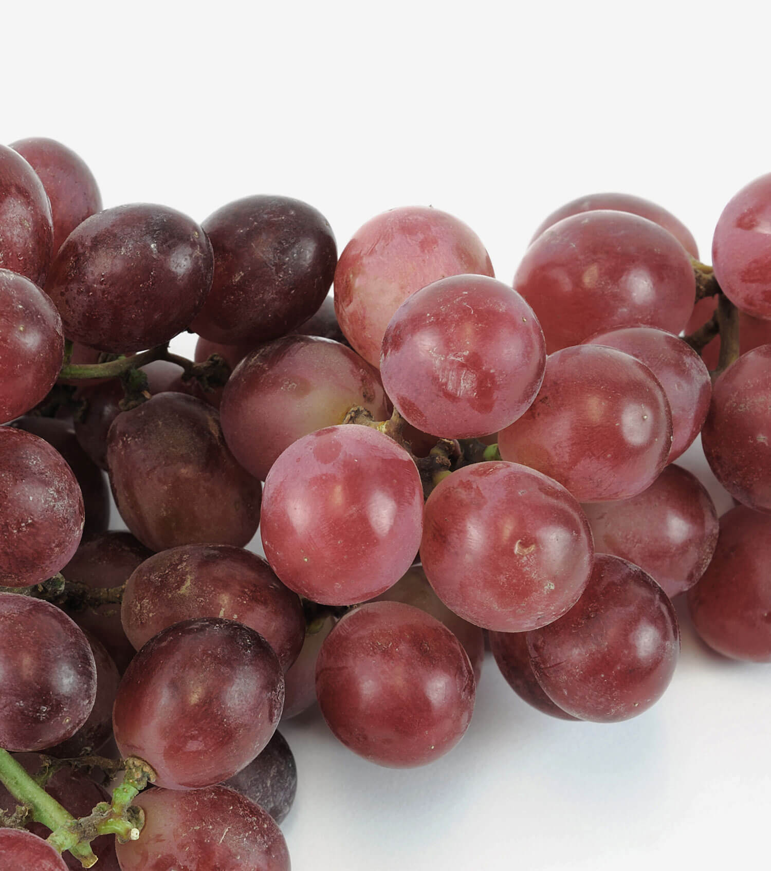 Grape Polyphenol Complex - Gundry MD®
