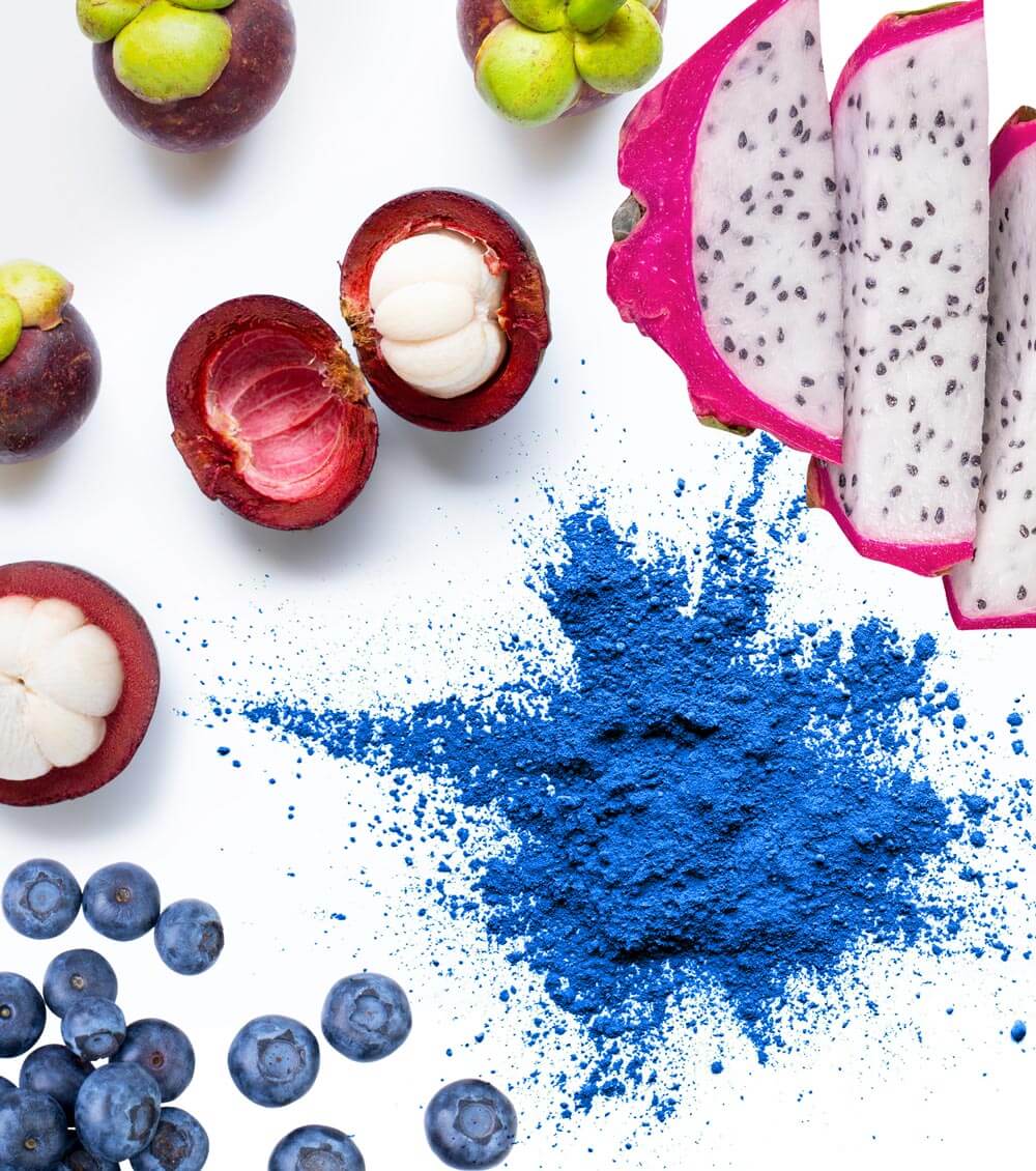 Polyphenol Blend - Gundry MD®