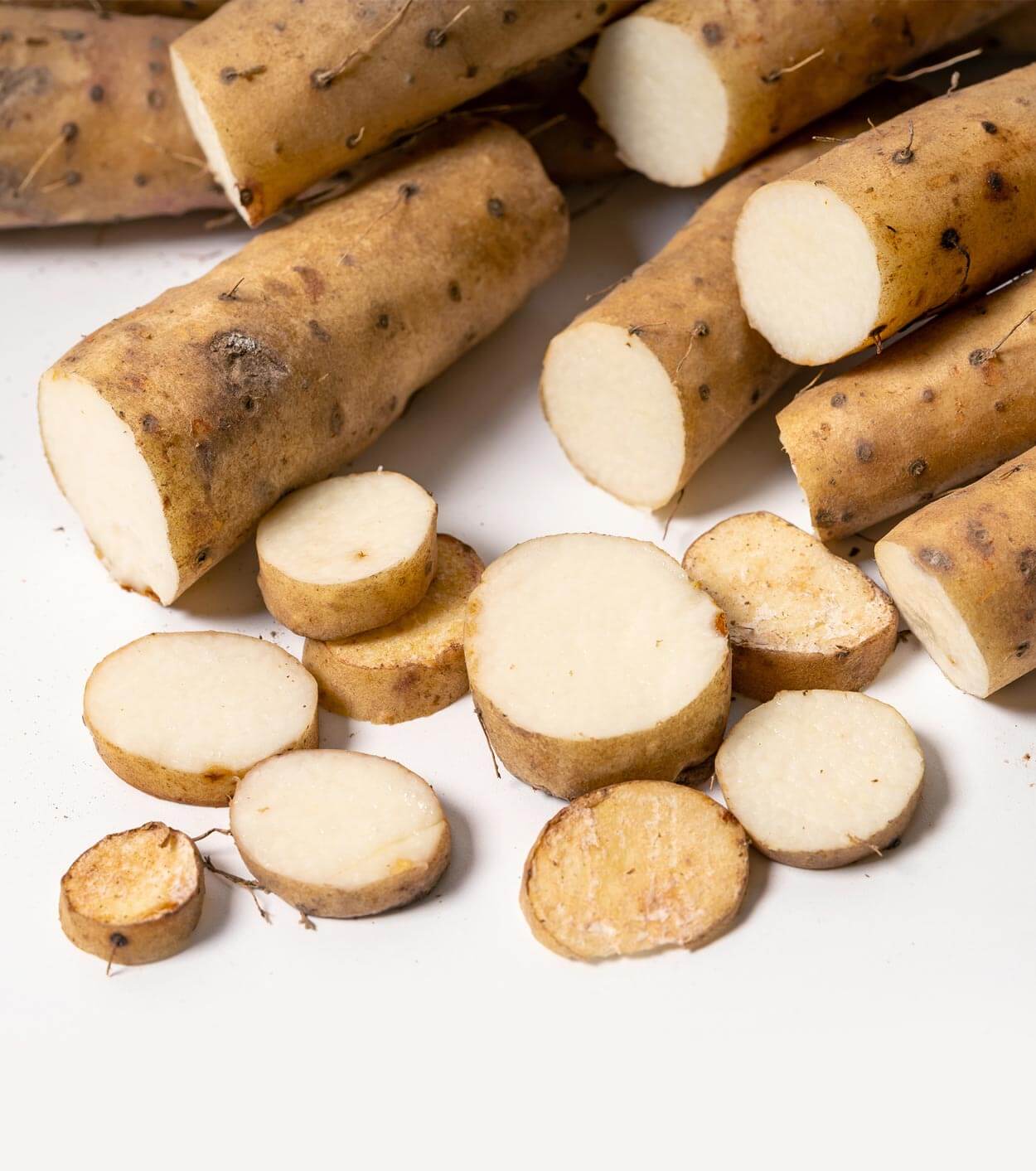 Wild Yam Extract - Gundry MD®