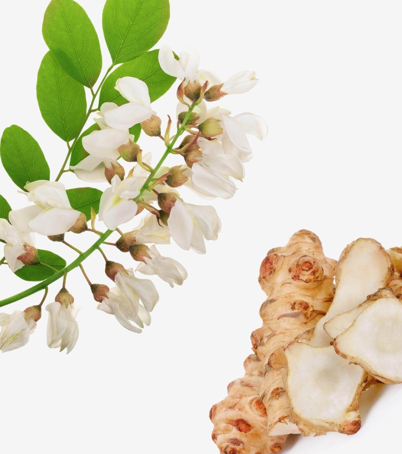 Learn All About Gundry MD Scientifically-Formulated Supplements